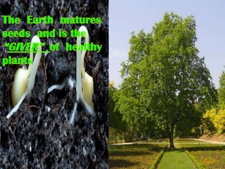 Lessons from Nature | PPSX