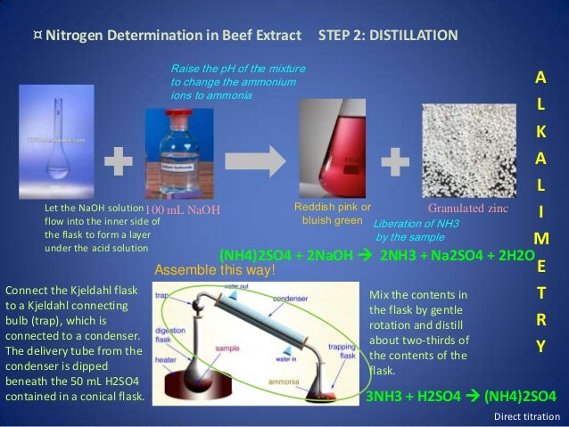 Example Kjeldahl Method