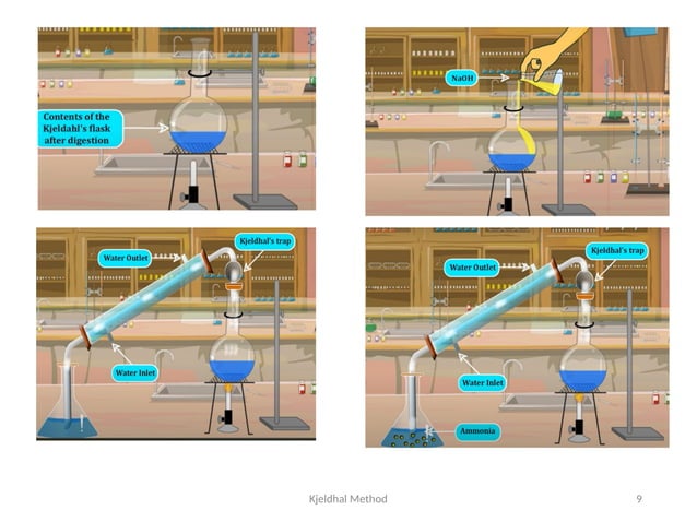 kjeldhal method to determine the nitrogen content in food | PPT