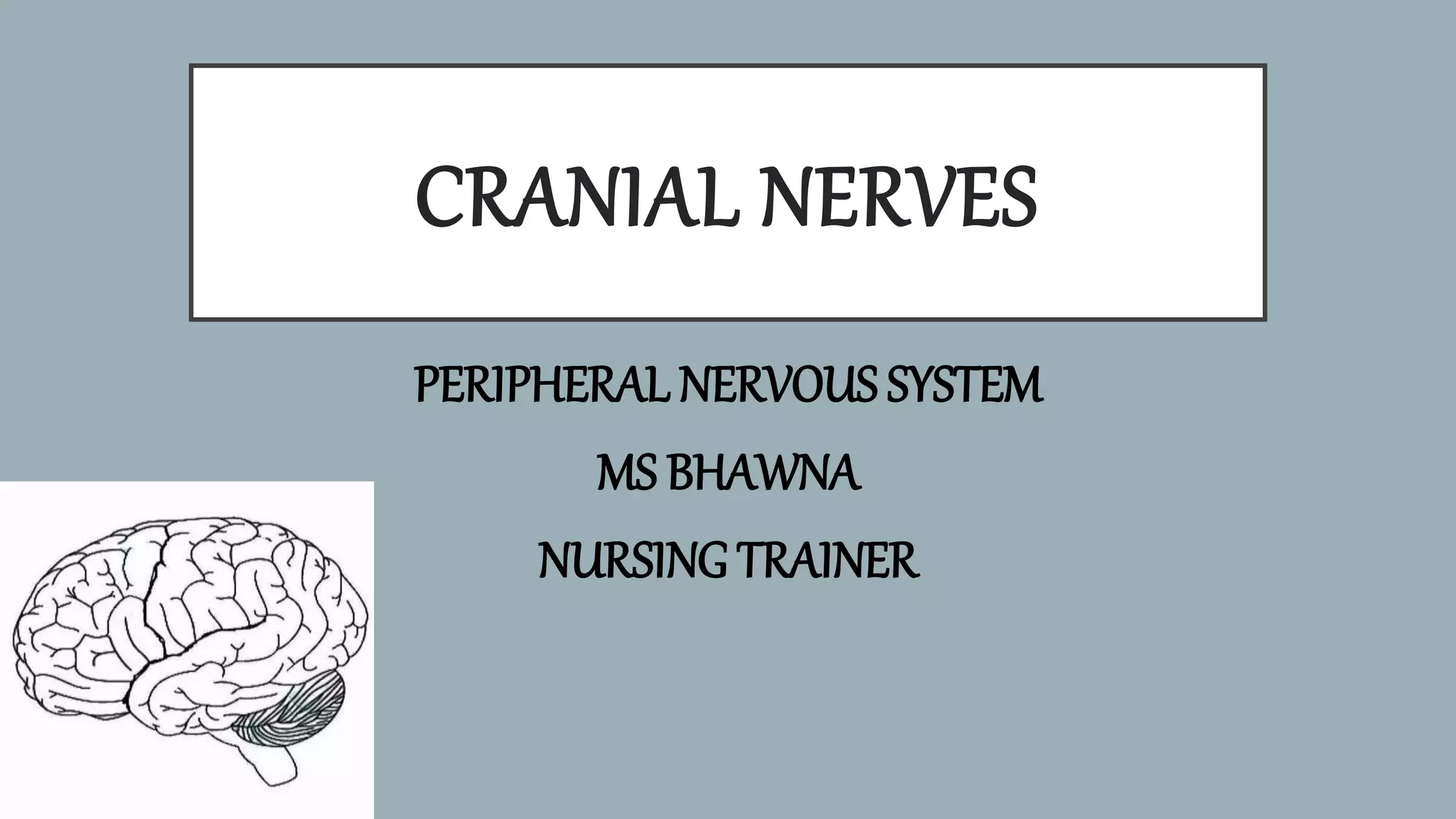 INTRODUCTION TO CRANIAL NERVES | PPTX