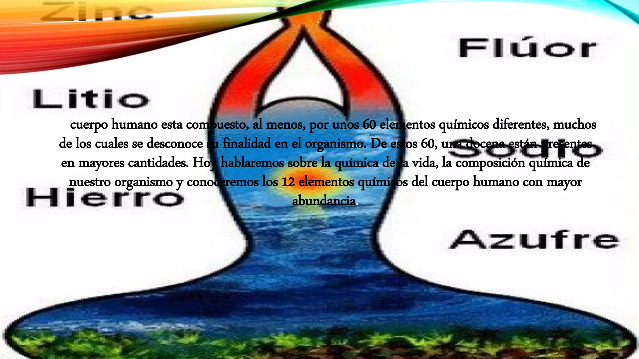 Los 12 elementos Quimicos de cuerpo humano | PPTX | Chemistry | Science