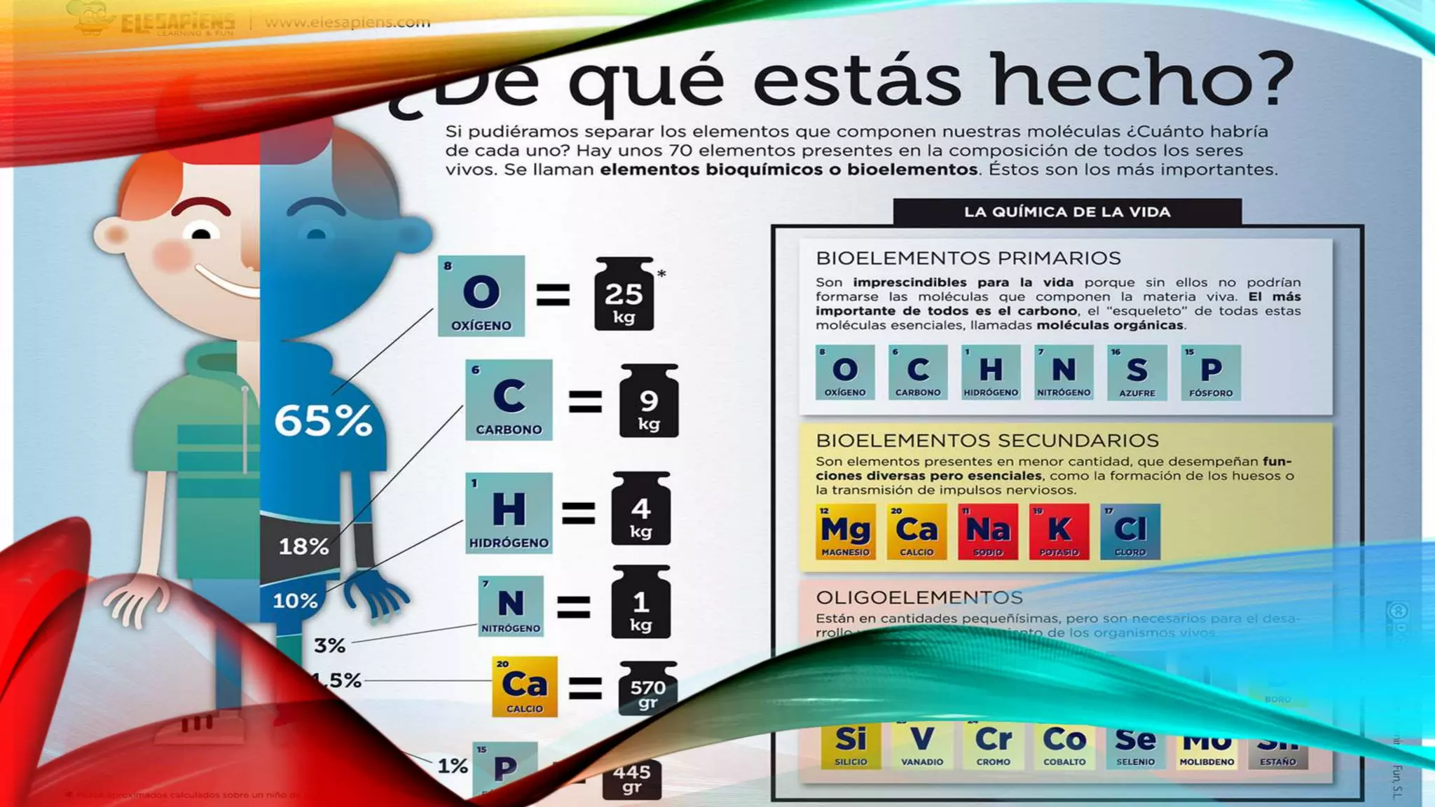 Los 12 elementos Quimicos de cuerpo humano | PPTX | Chemistry | Science