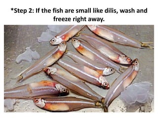 Freezing Method Of Preservation | PPTX