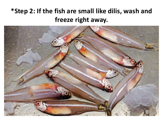 Freezing Method Of Preservation