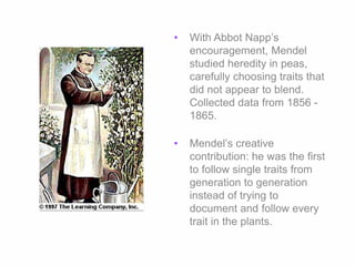 Mendelian_genetics.ppt123466777777777777 | PPT