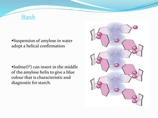 KJ Polysaccharides.pptx