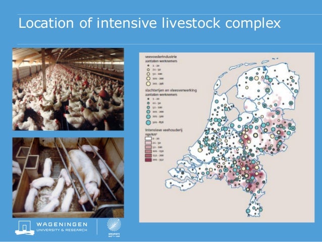 Dutch agriculture - an intro