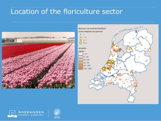 Dutch agriculture - an intro