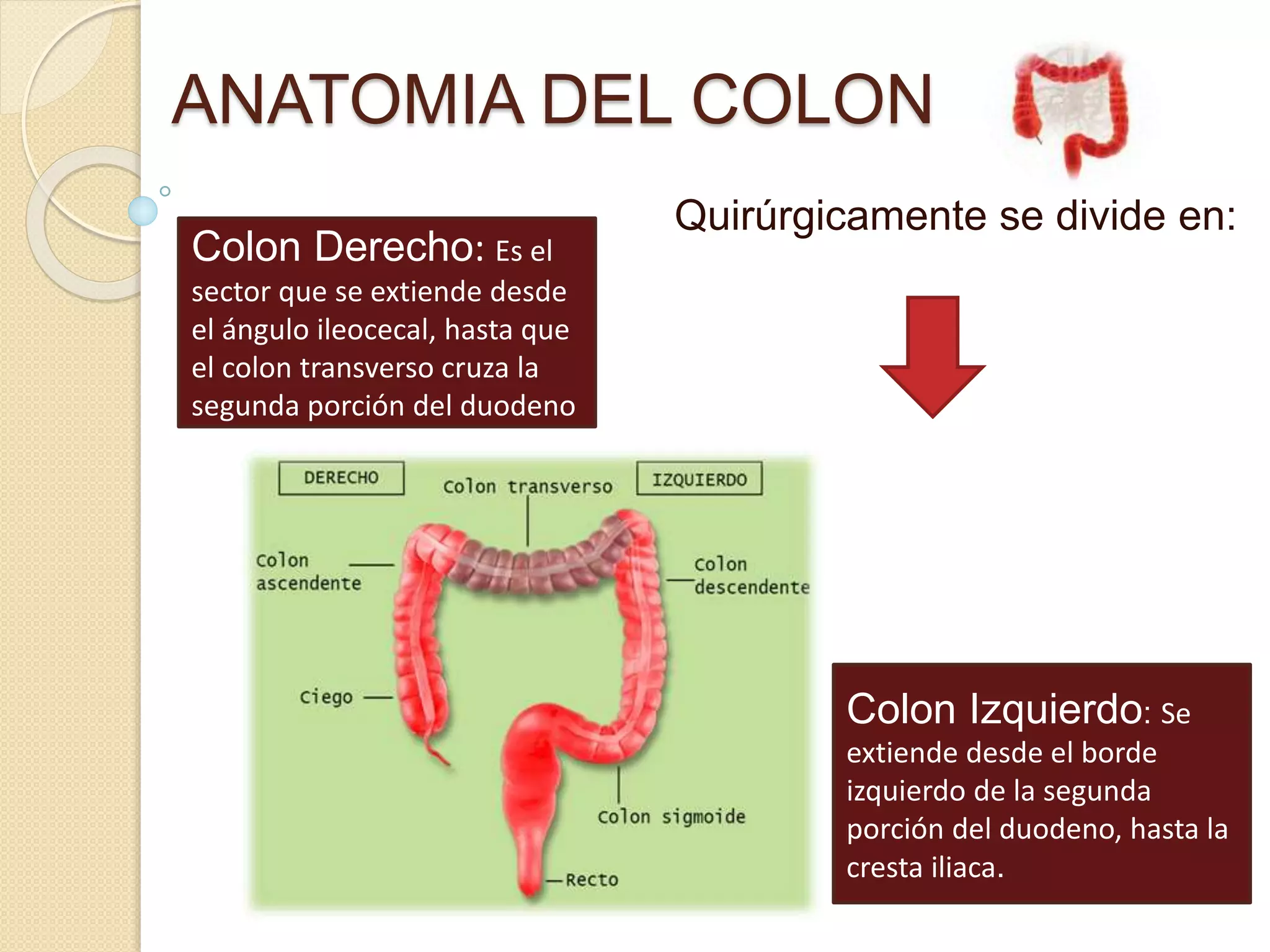 PATOLOGIA DEL COLÓN Y RECTO | PPTX