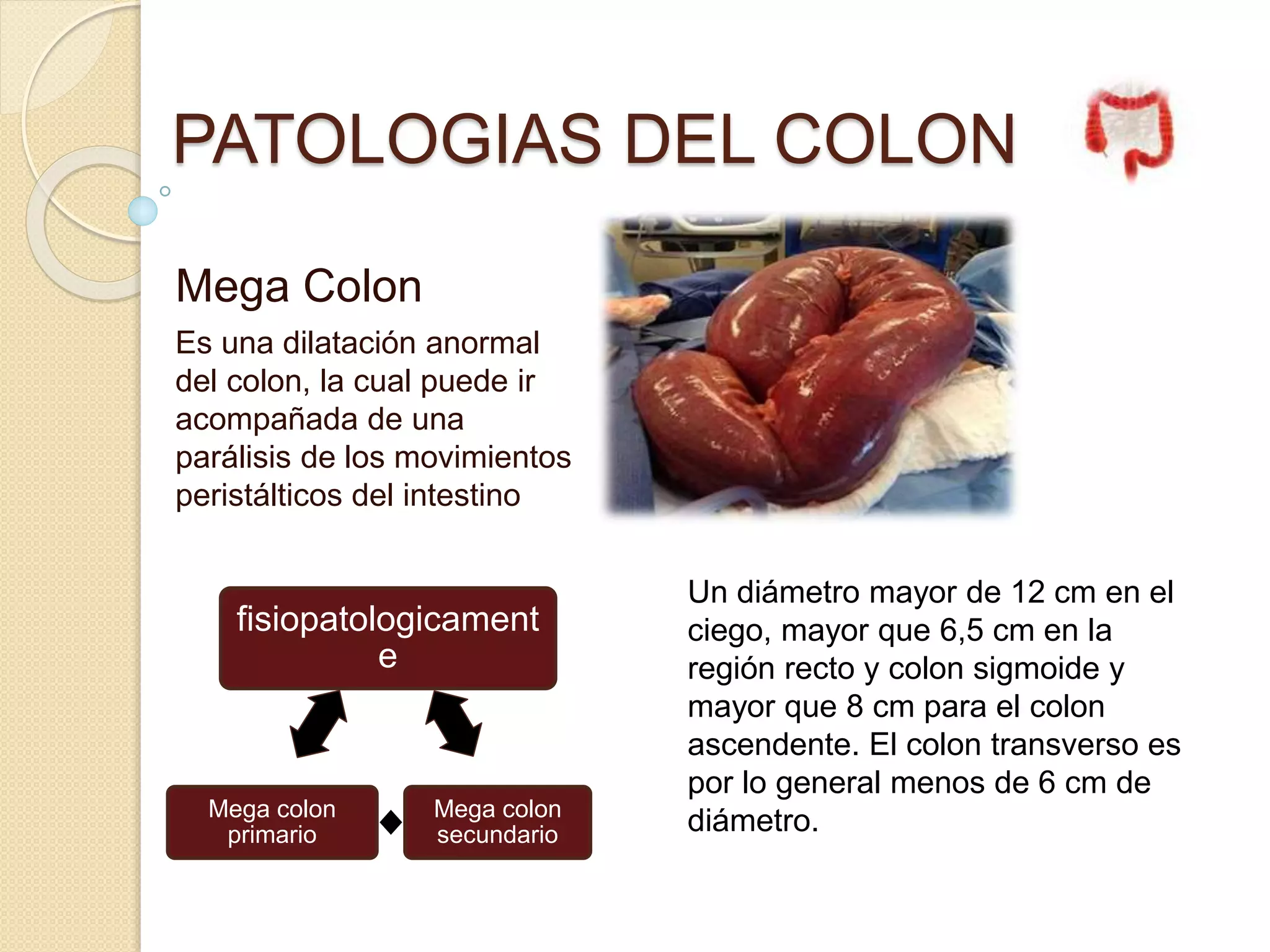PATOLOGIA DEL COLÓN Y RECTO | PPTX