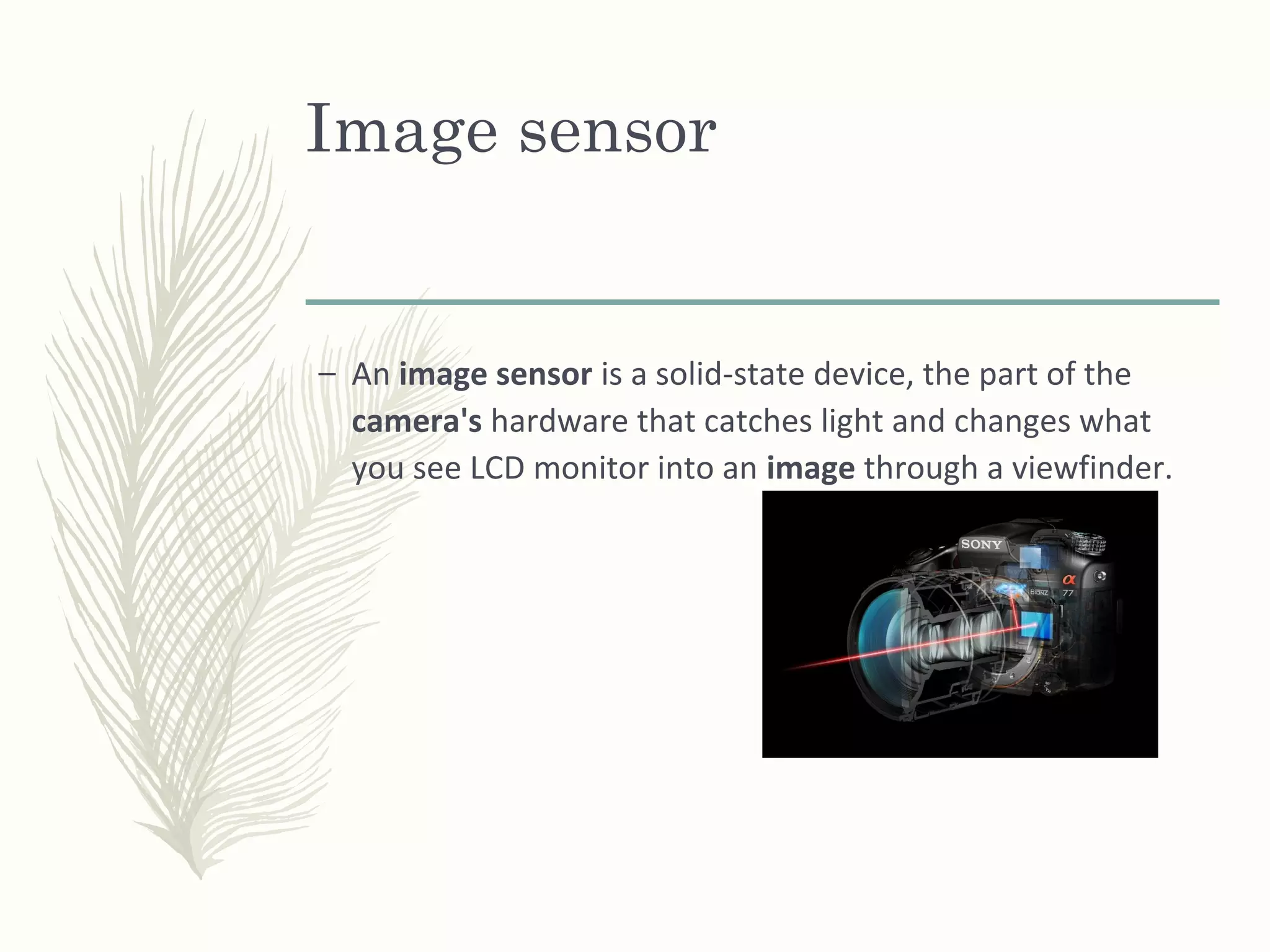 camera functions | PPT