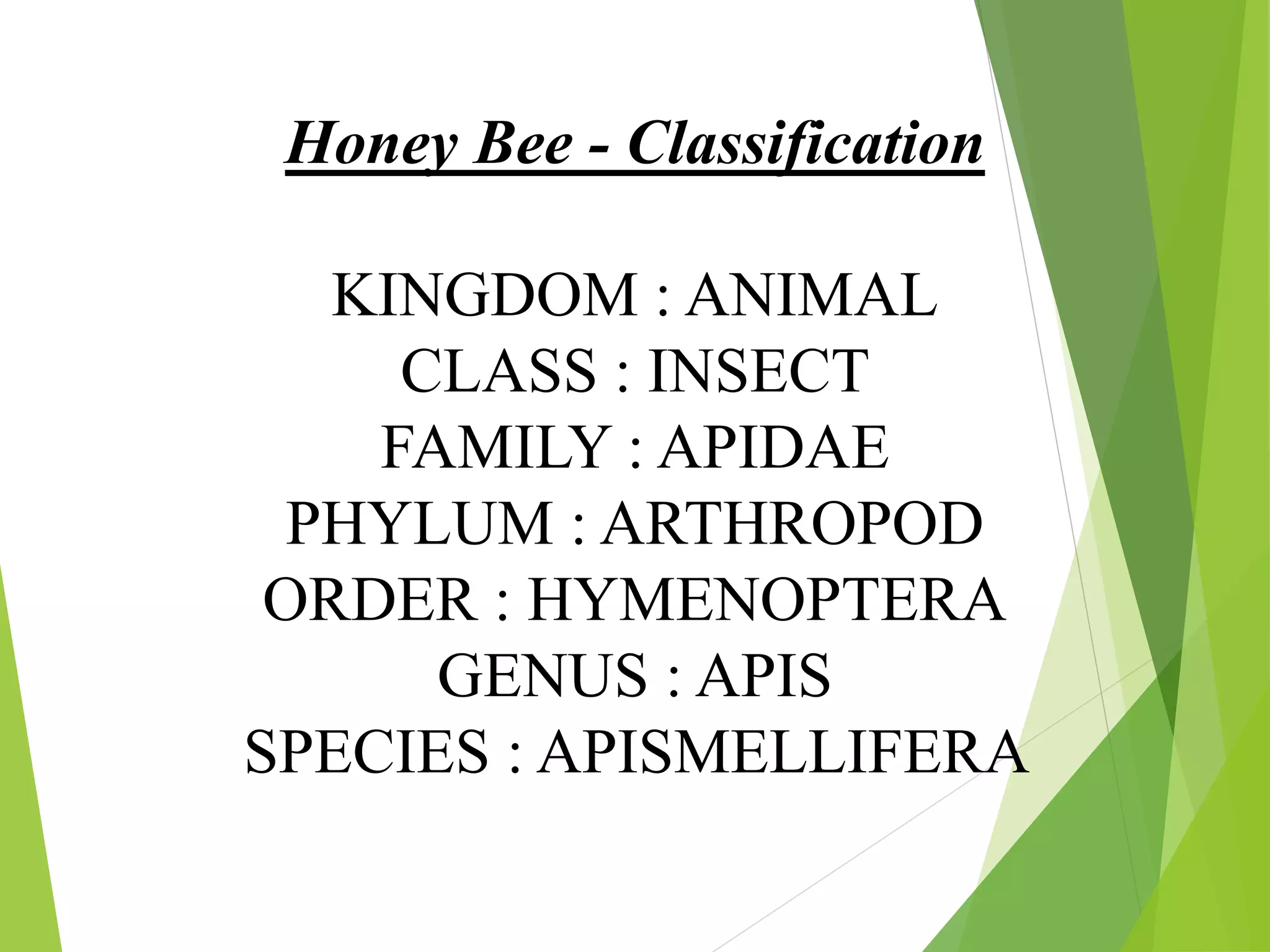 Apiculture | PPT