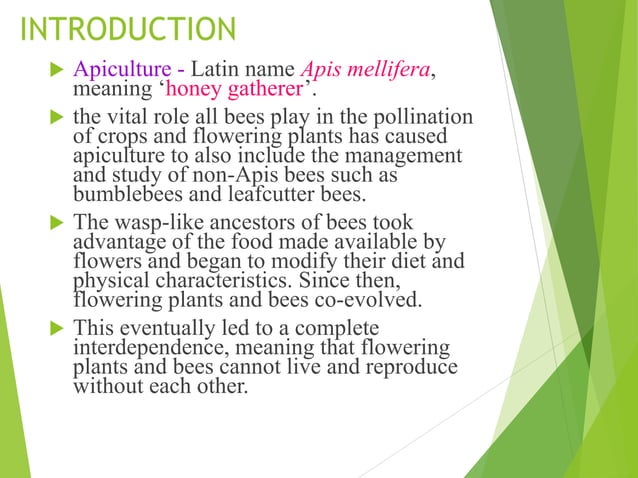 Apiculture | PPT