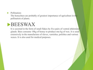 Apiculture | PPT