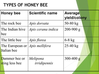 Apiculture | PPT