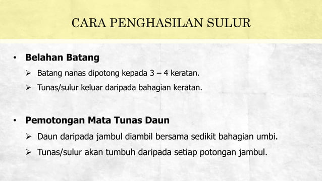 PEMBENTUKAN SULUR TANPA BUAH - SEMINAR PERKASA INDUSTRI BENIH NEGARA | PPT
