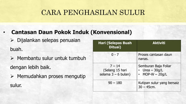 PEMBENTUKAN SULUR TANPA BUAH - SEMINAR PERKASA INDUSTRI BENIH NEGARA | PPT