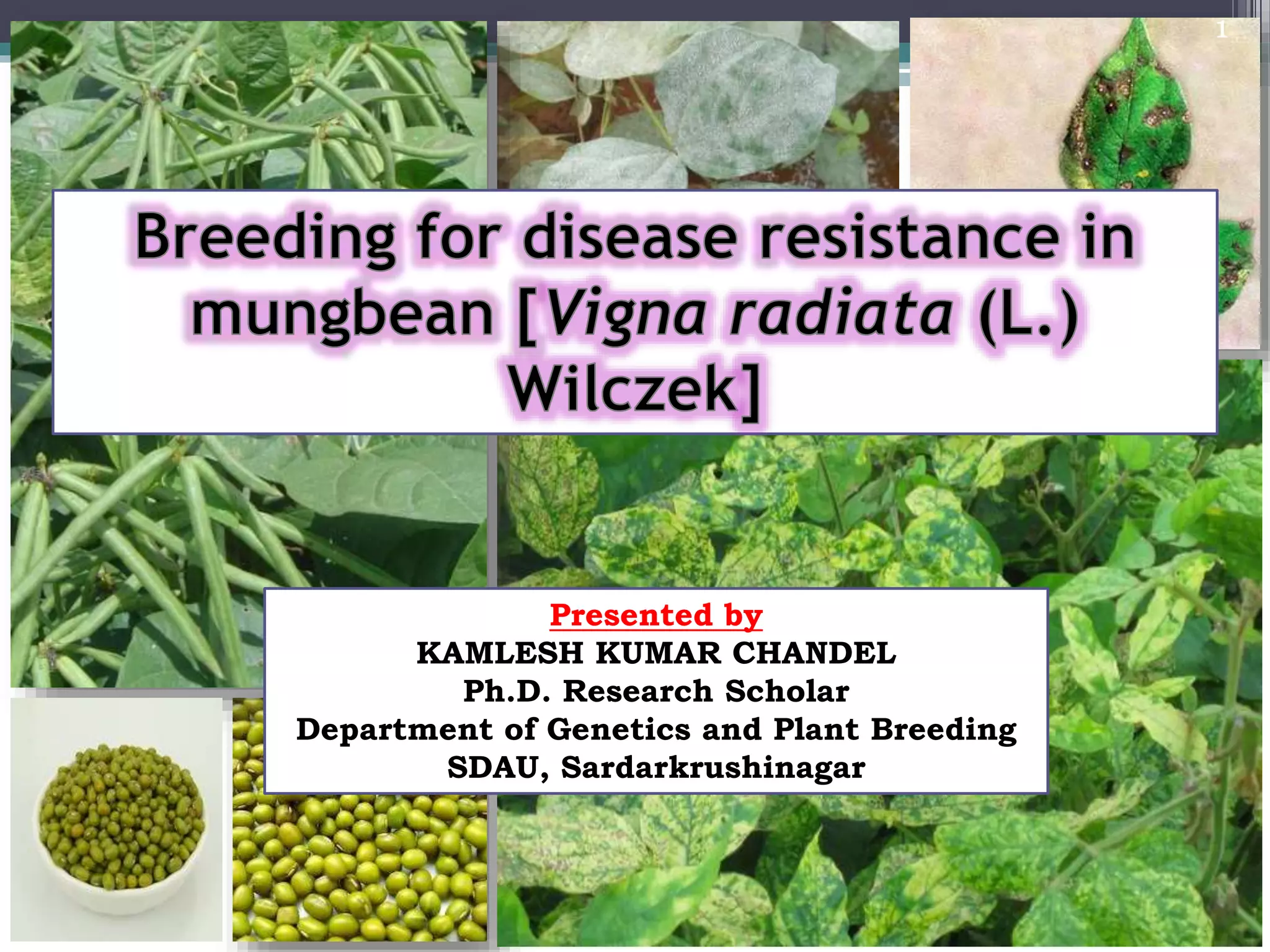 Breeding for disease resistance in mungbean [Vigna radiata (L.) Wilczek ...