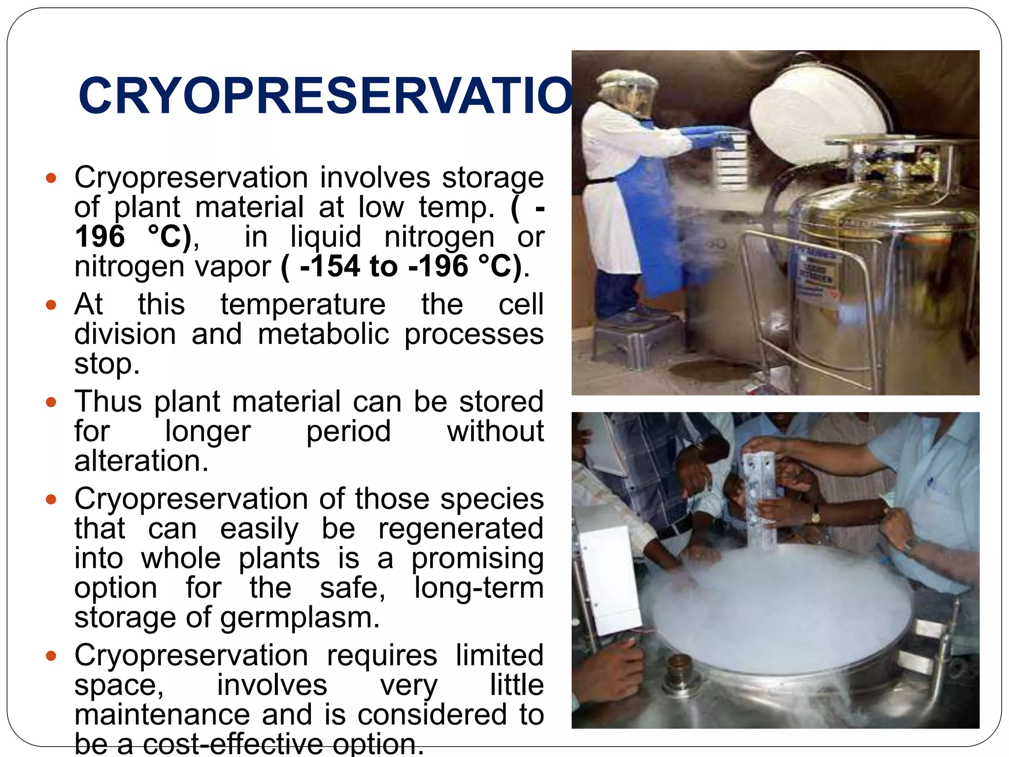 Germplasm Conservation in situ, ex situ and on-farm and Biodiversity | PPTX