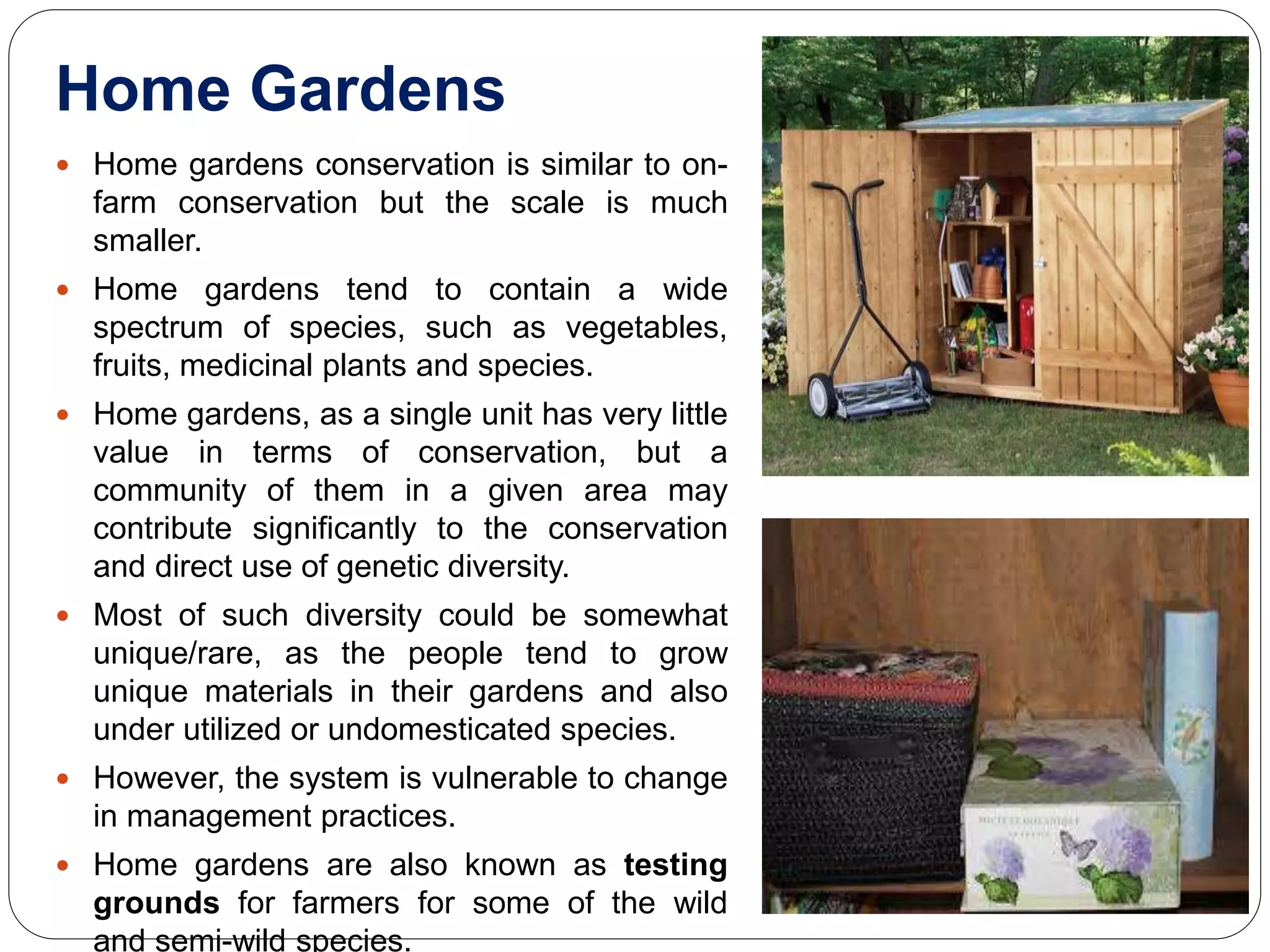Germplasm Conservation in situ, ex situ and on-farm and Biodiversity | PPTX