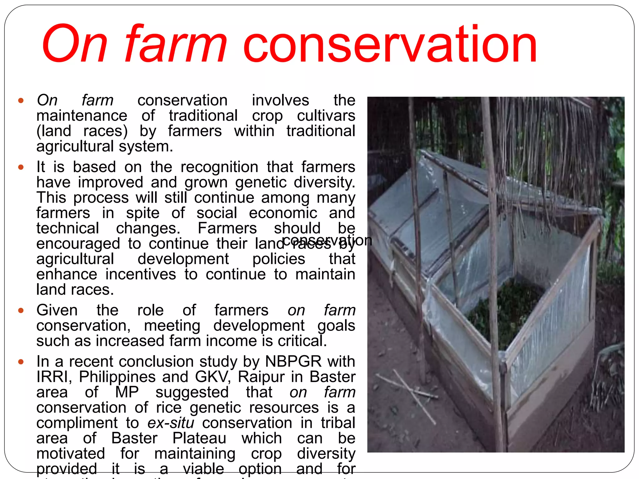 Germplasm Conservation in situ, ex situ and on-farm and Biodiversity | PPTX