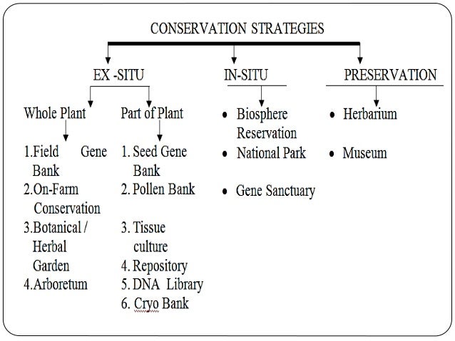 Germplasm Conservation in situ, ex situ and on-farm and Biodiversity