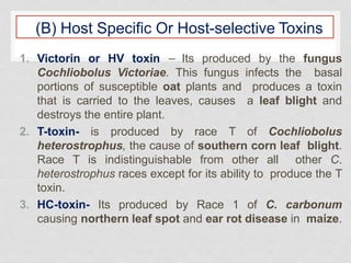 kkcplant-pathogeninteractionanddiseasedevelopment-150308040535 ...