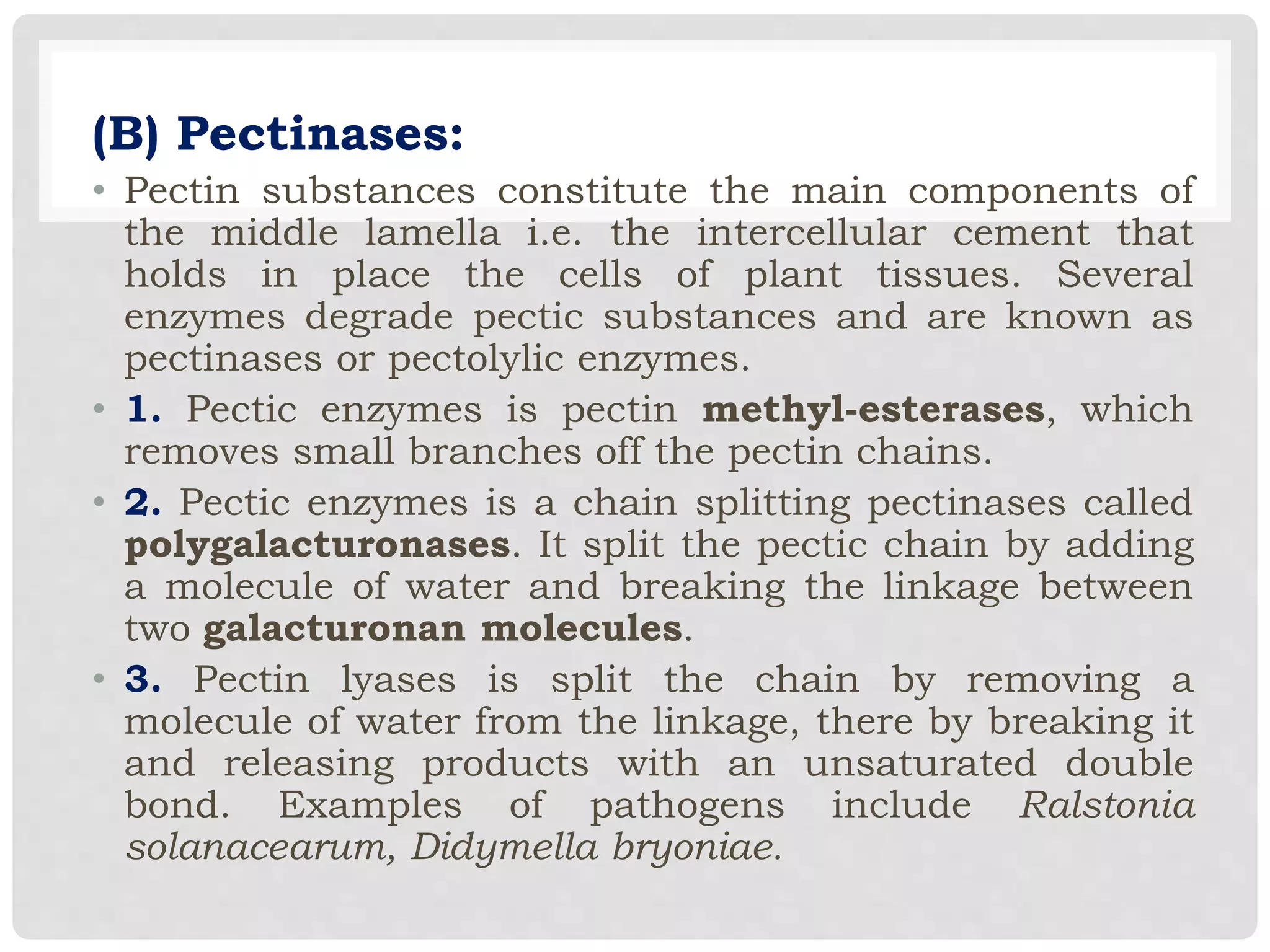 Plant - Pathogen Interaction and Disease Development | PPTX