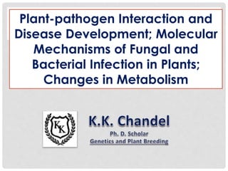 Plant - Pathogen Interaction and Disease Development | PPTX