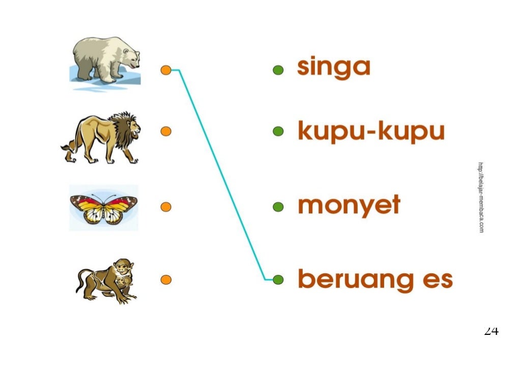 Buku Cara Cepat Belajar Membaca