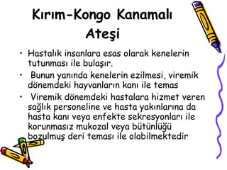 Kkka | PPS