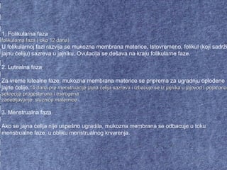 FIZIOLOGIJA ŽENSKIH POLNIH ORGANA | ODP