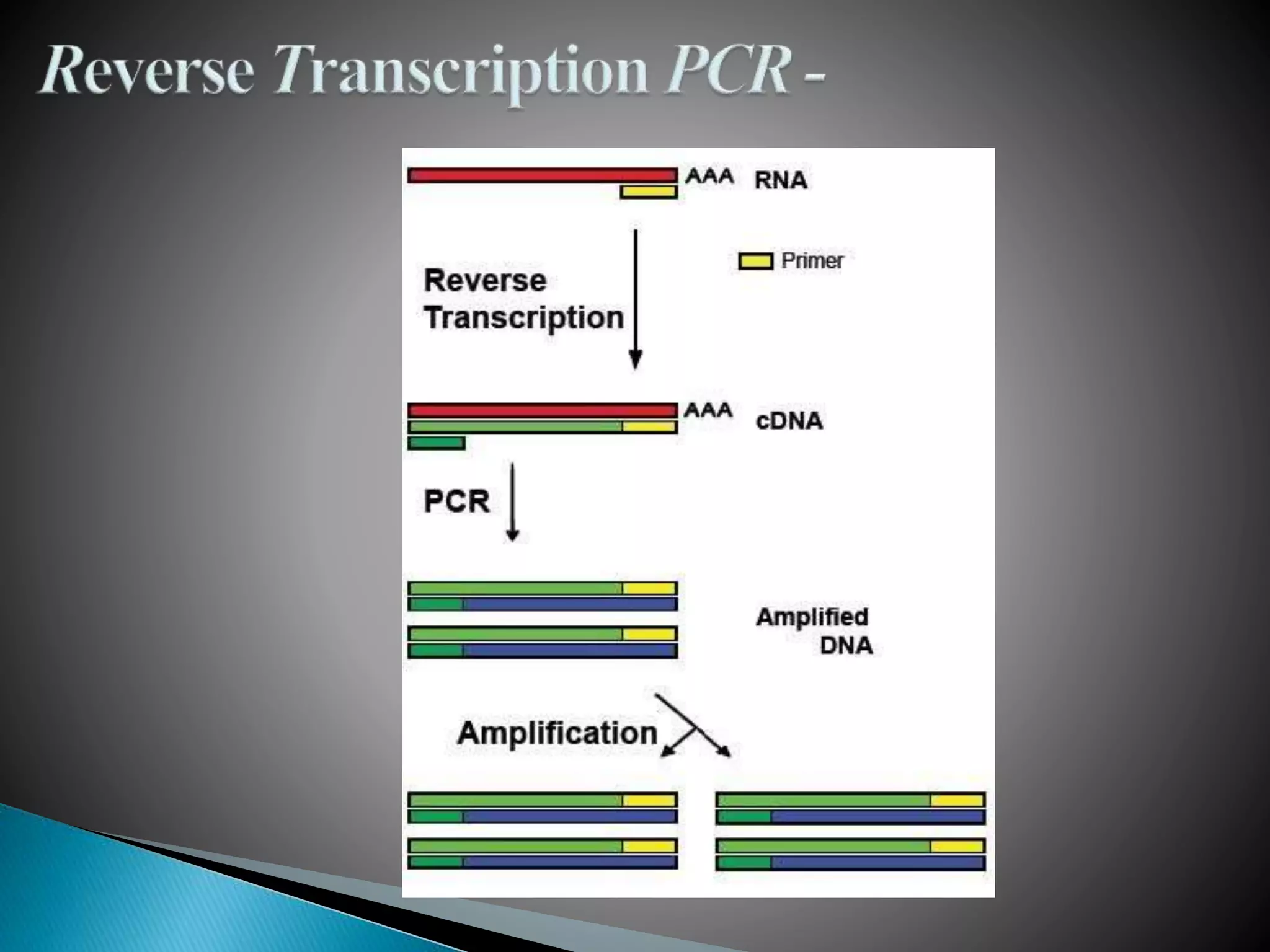 different types of pcr | PPTX