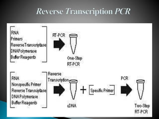 different types of pcr | PPTX | Chemistry | Science