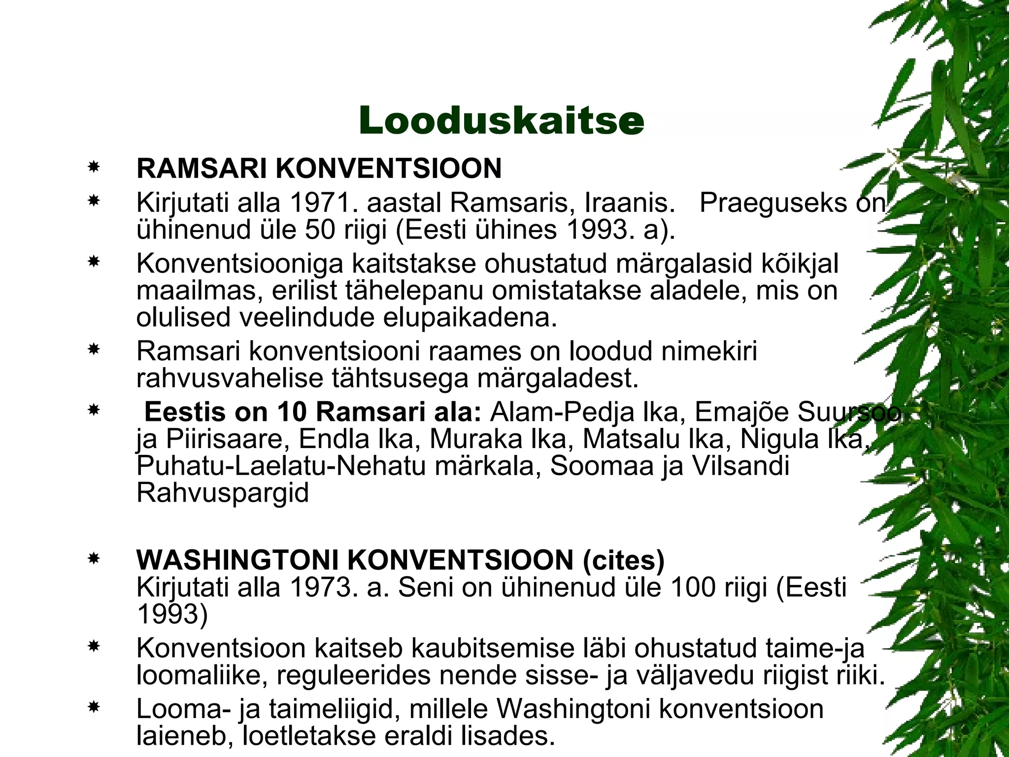 keskkonnakaitse slaidid | PPT