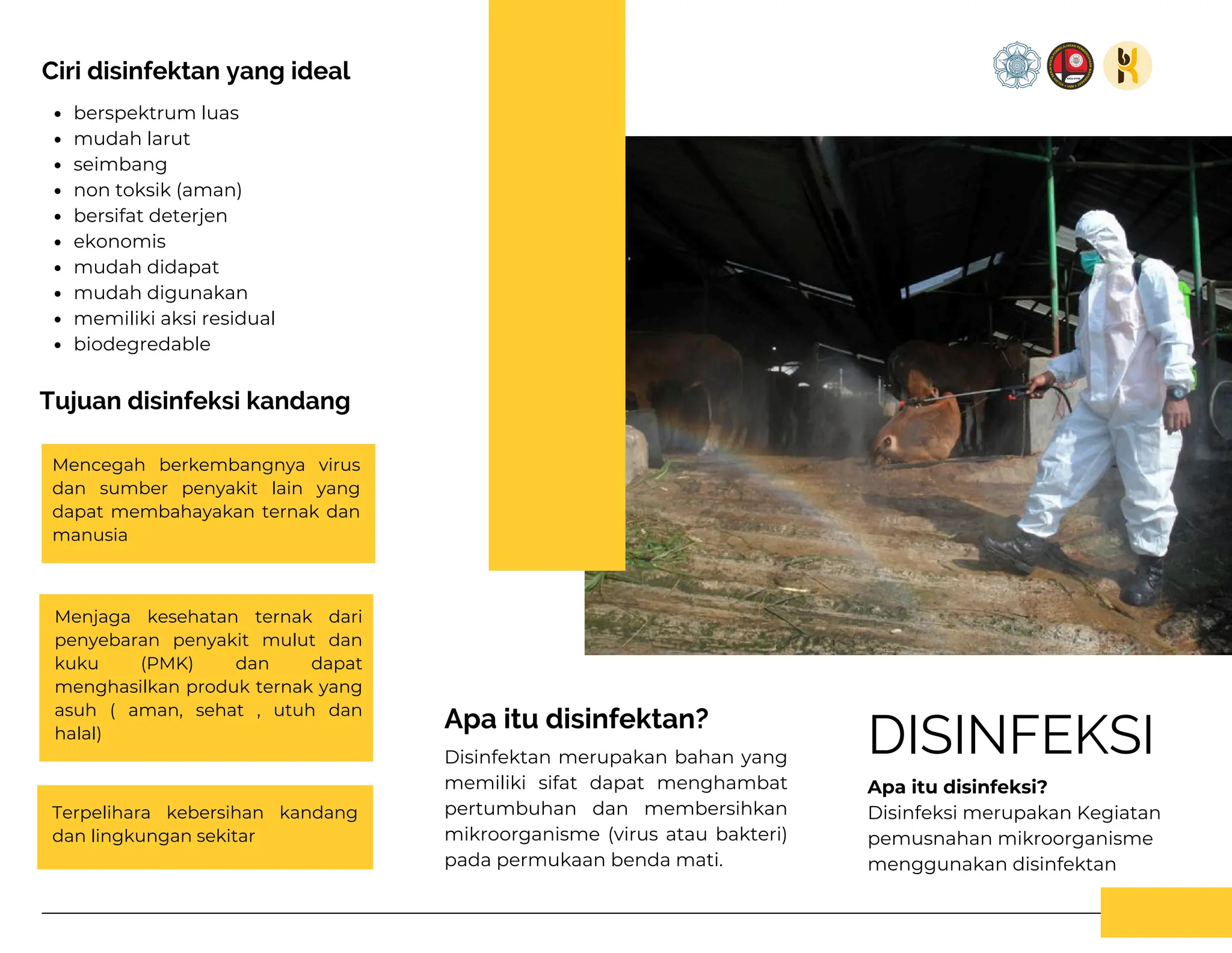 KKN UGM SELAJU KALIBARU - LEAFLET PEMBUATAN DESINFEKTAN | PDF