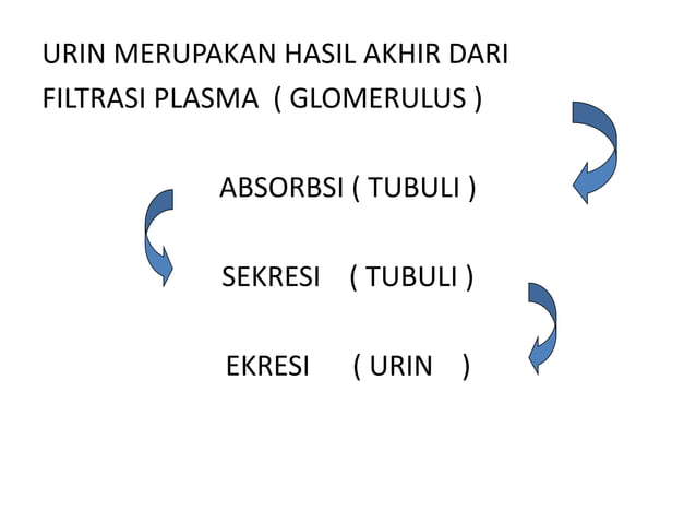 KOMPOSISI URIN dan derivatnya Kuliah FK .ppt