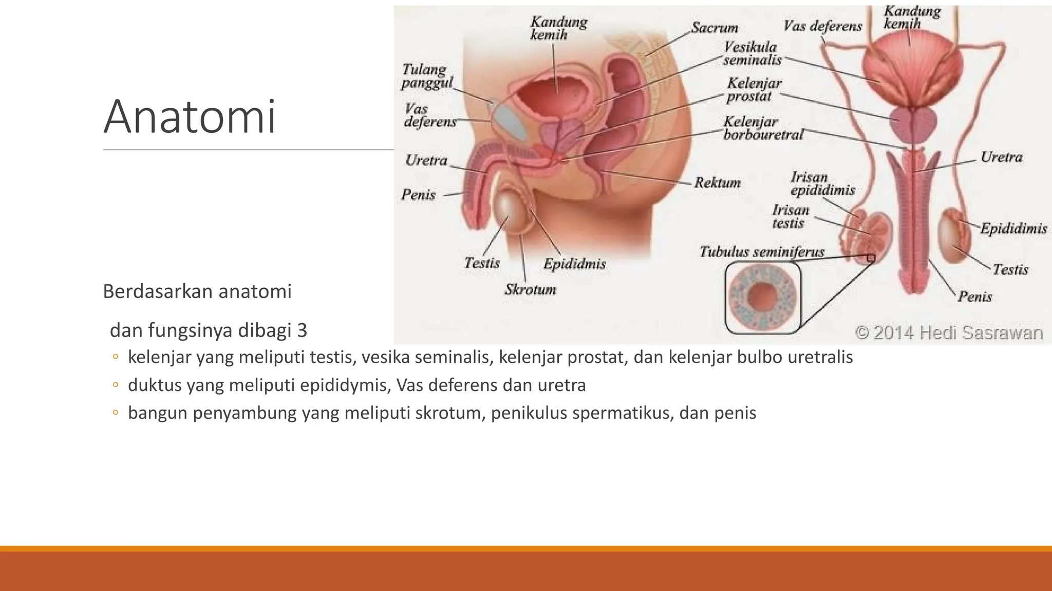 Klasifikasi dan Kodifikasi Penyakit dan Masalah terkait genital pria.pdf
