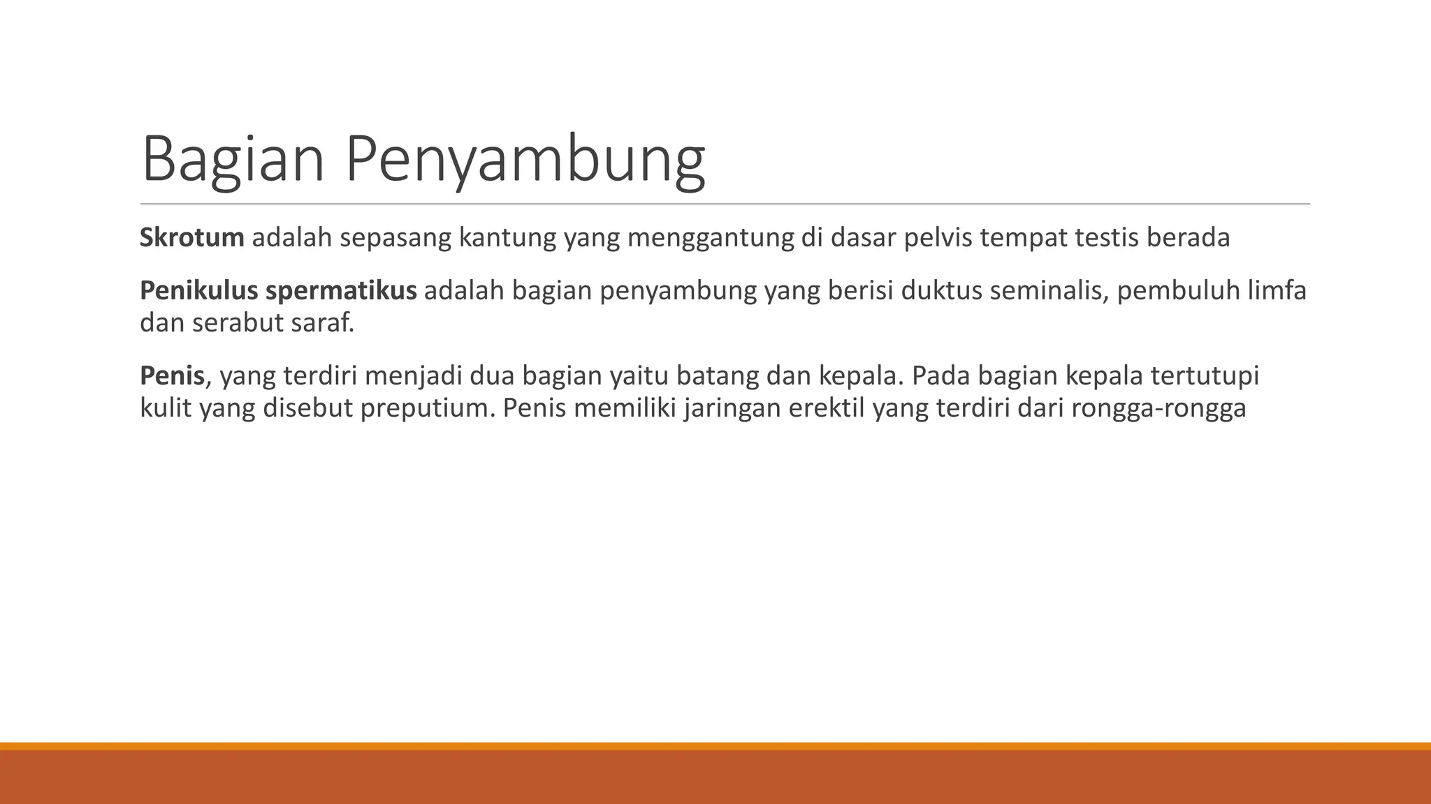 KKPMT reproduksi pria berdasarkan anatomi fisiologi, terminologi medis ...