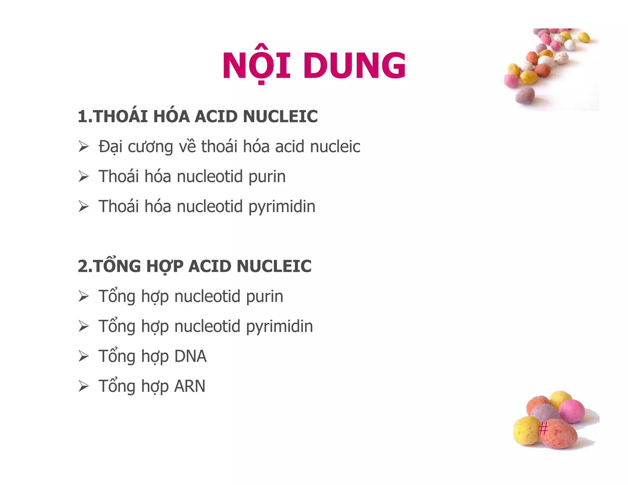 Chuyển hóa acid nucleic | PDF