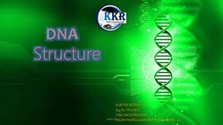 DNA structure | PPT