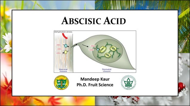 ABSCISIC ACID | PPTX | Chemistry | Science