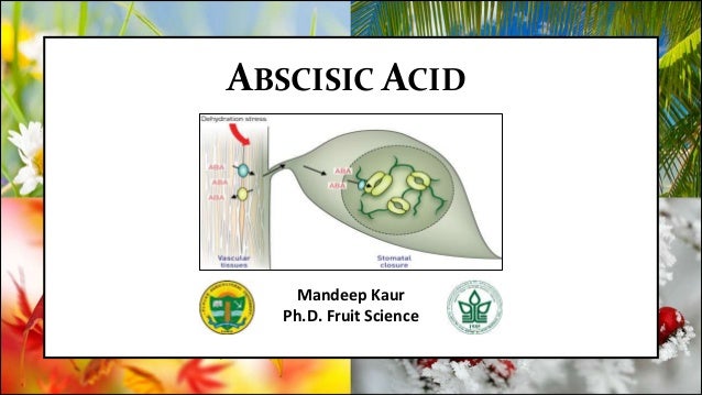 ABSCISIC ACID