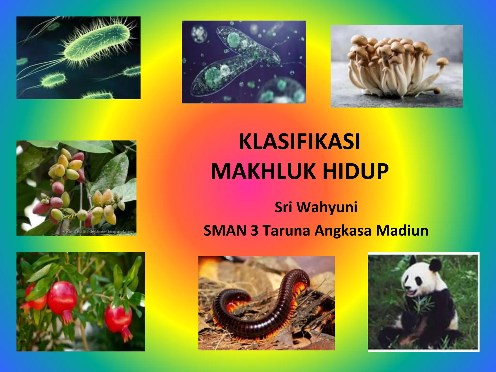 Kladogram, Nama Ilmiah dan Kunci Determinasi.pptx