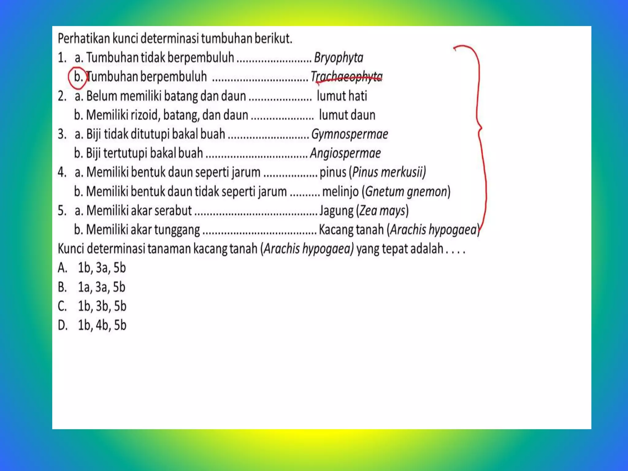 Kladogram, Nama Ilmiah dan Kunci Determinasi.pptx