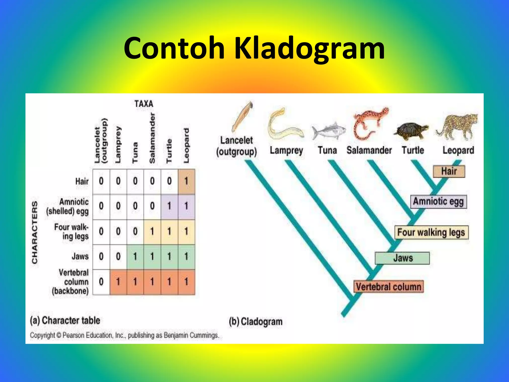 Kladogram, Nama Ilmiah dan Kunci Determinasi.pptx