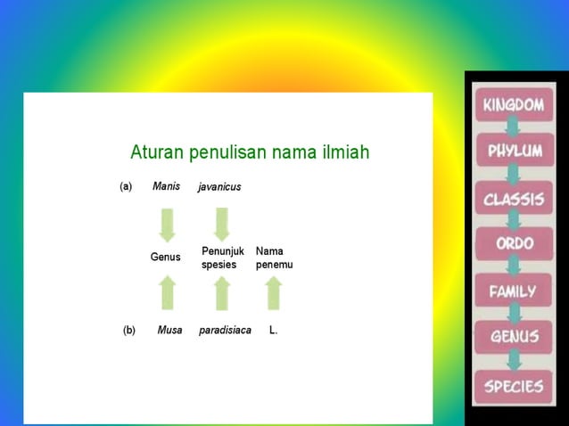 Kladogram, Nama Ilmiah dan Kunci Determinasi.pptx
