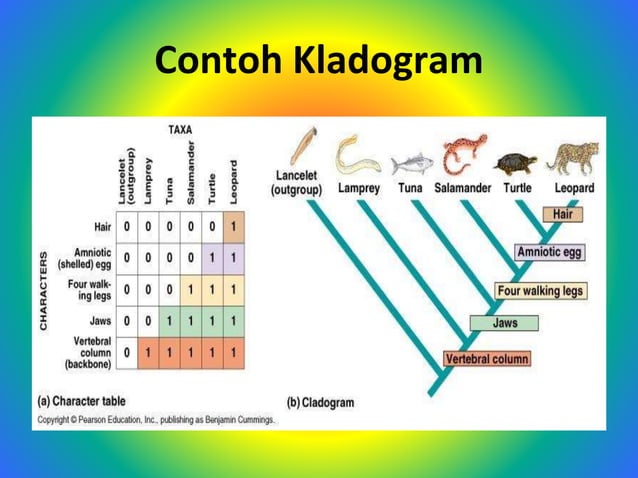 Kladogram, Nama Ilmiah dan Kunci Determinasi.pptx