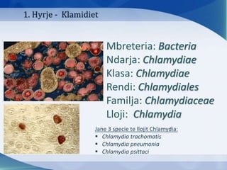 Klamidiet | PPTX