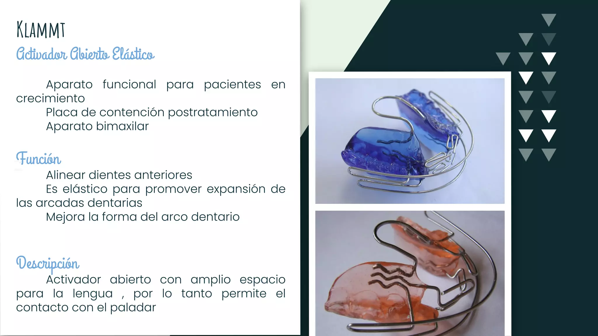 Klammt ortodoncia | PDF